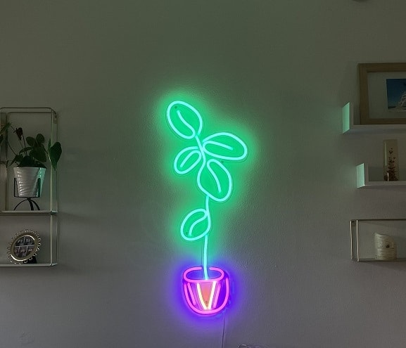 Taking a Look at the Rise in Neon Artwork Popularity - Echo Neon